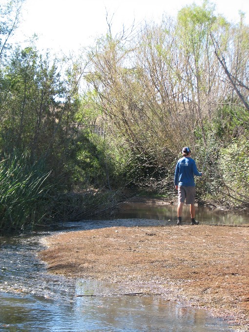 Blue Mountains & Central Tablelands Fishing